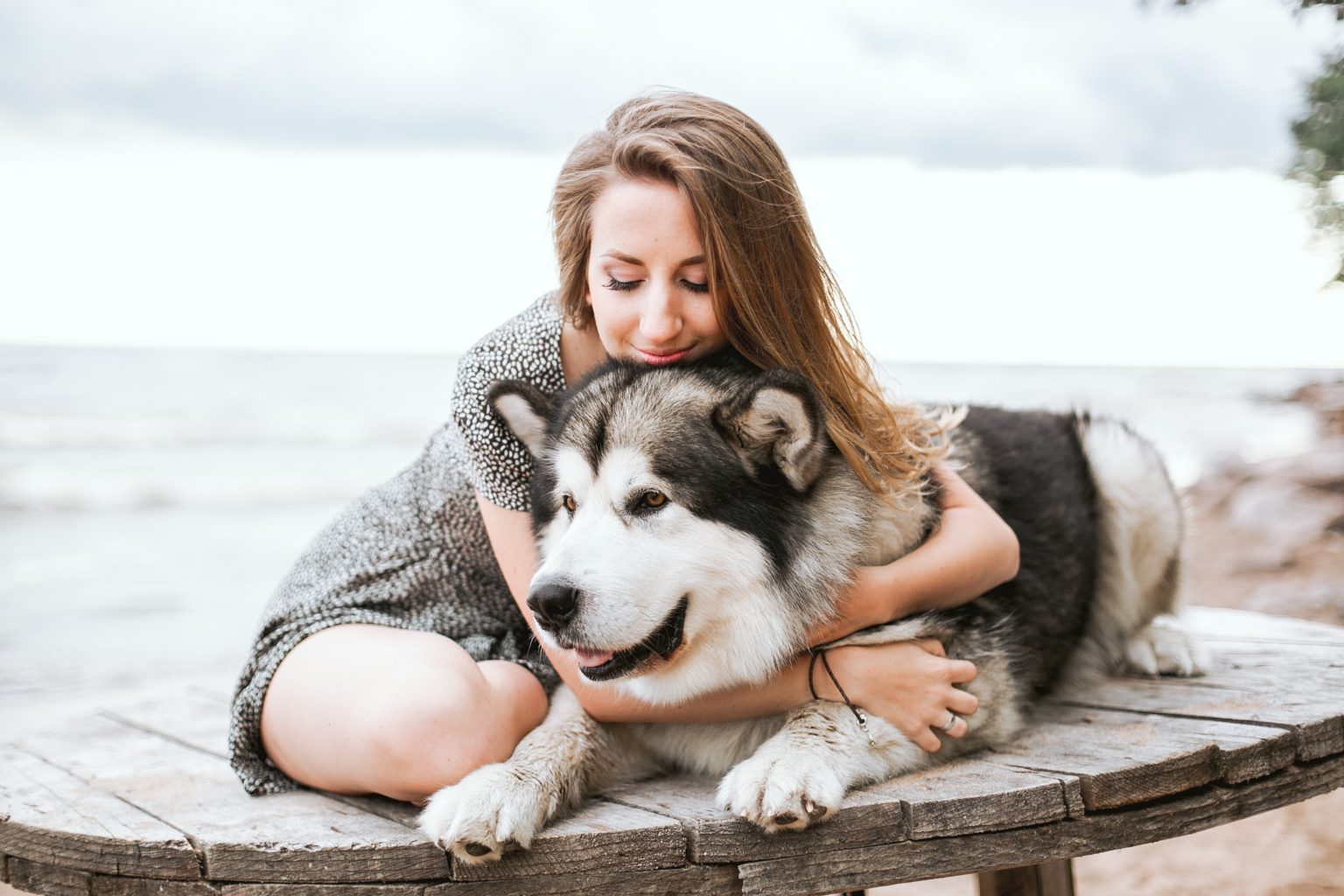 El secreto de una vida feliz - Perro Adoptado - Familia feliz