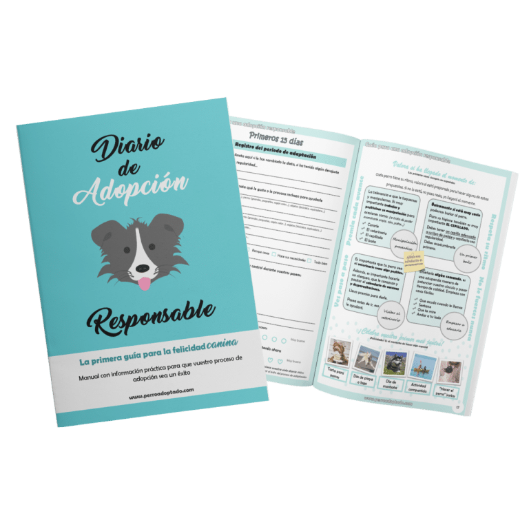 Traductor de perro - humano. Diccionario canino - Perro Adoptado ...